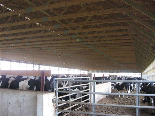 Livestock Facility | Habegger Ace